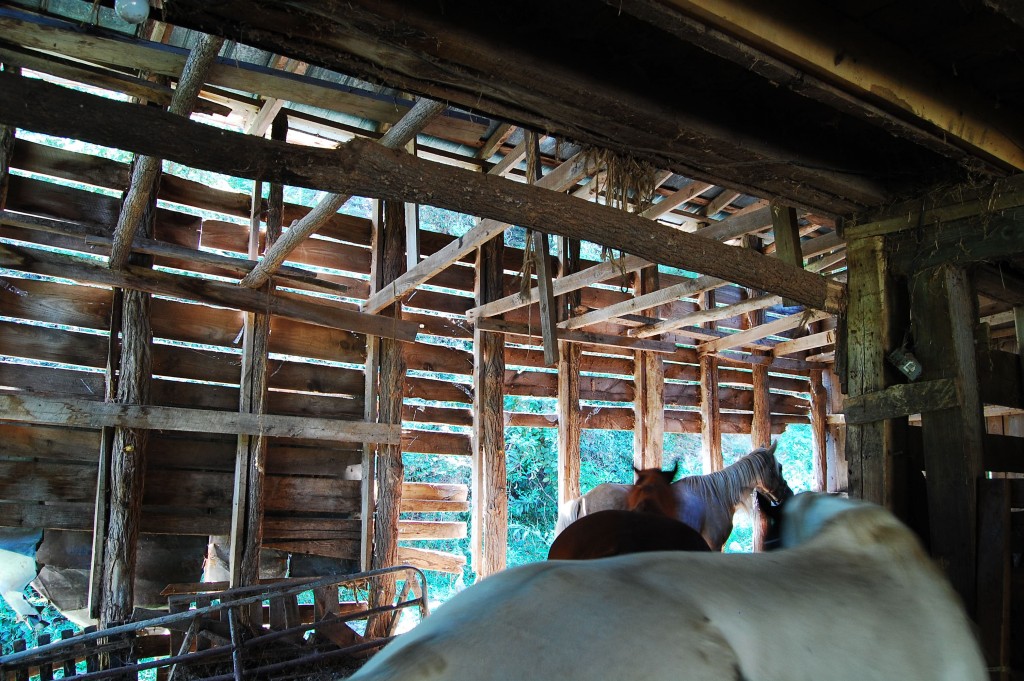 Claude Wild Barn – Appalachian Barn Alliance